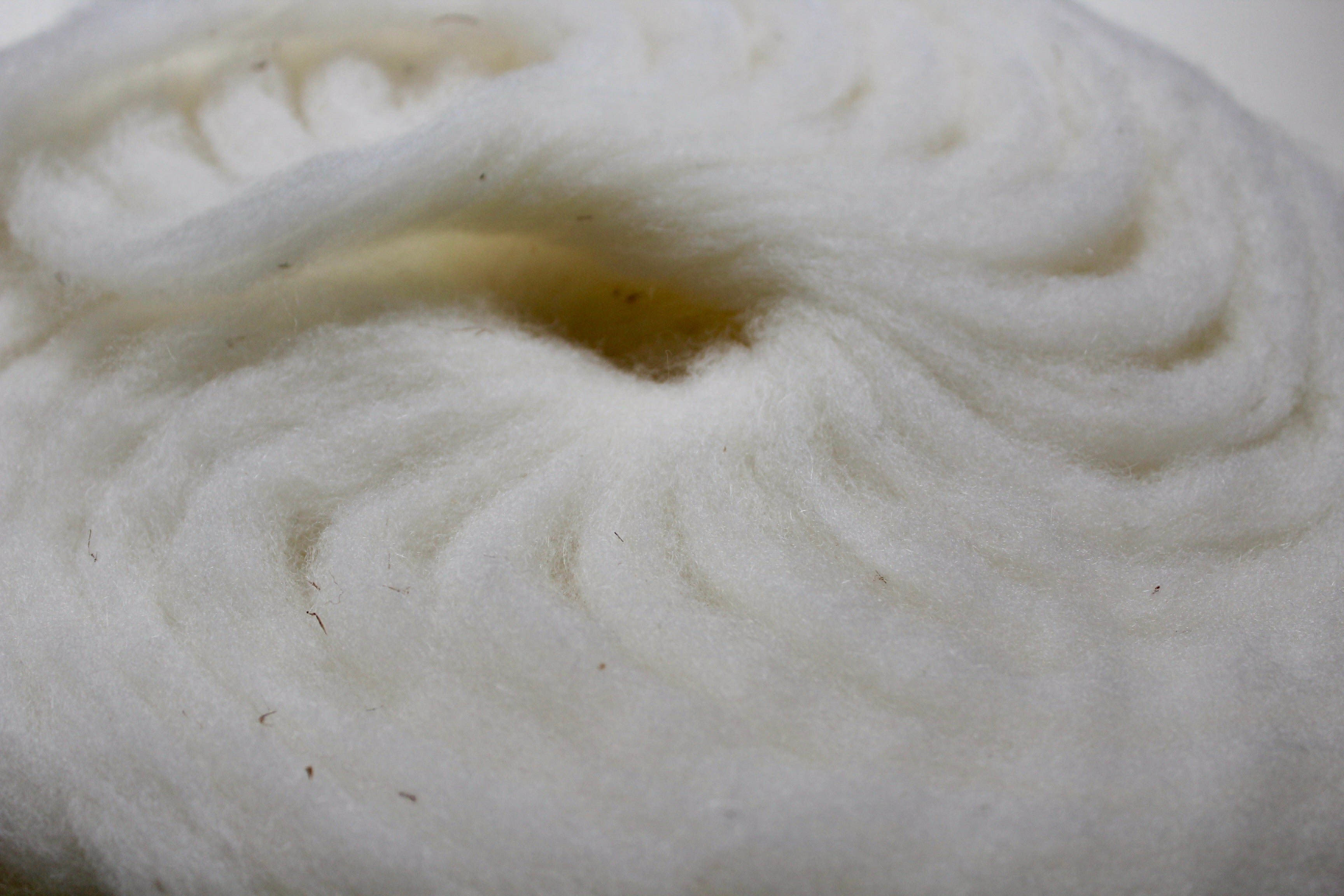 Canadian Wool Roving | Waxwing Yarn